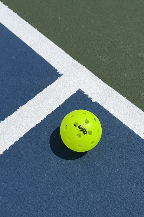 The Pickleball Lab | Get Into Pickleball And Improve Your Game!